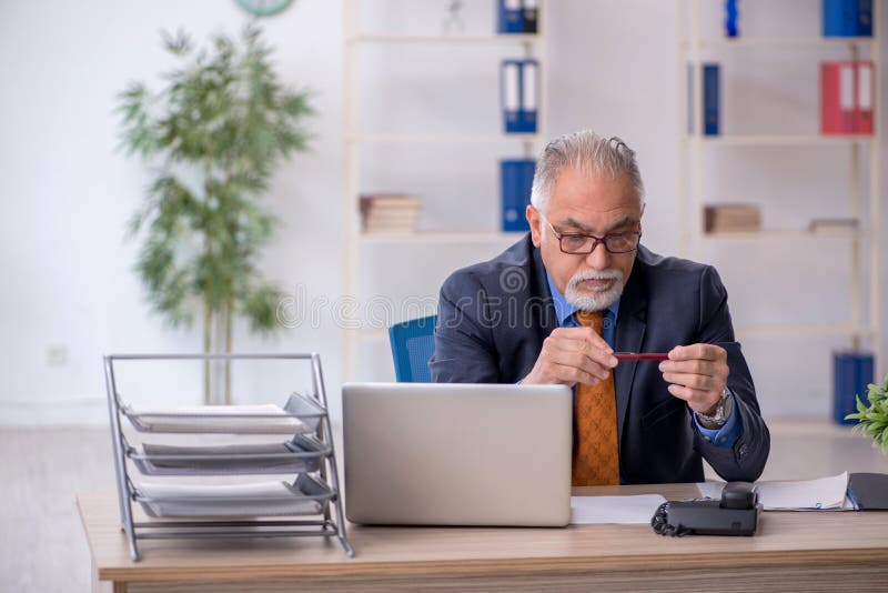 Old Boss Working in the Office Stock Image - Image of boss, male: 242058313