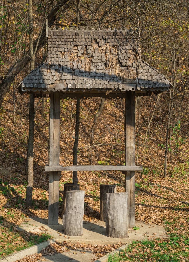 The bower in the forest stock photo. Image of green - 122031856