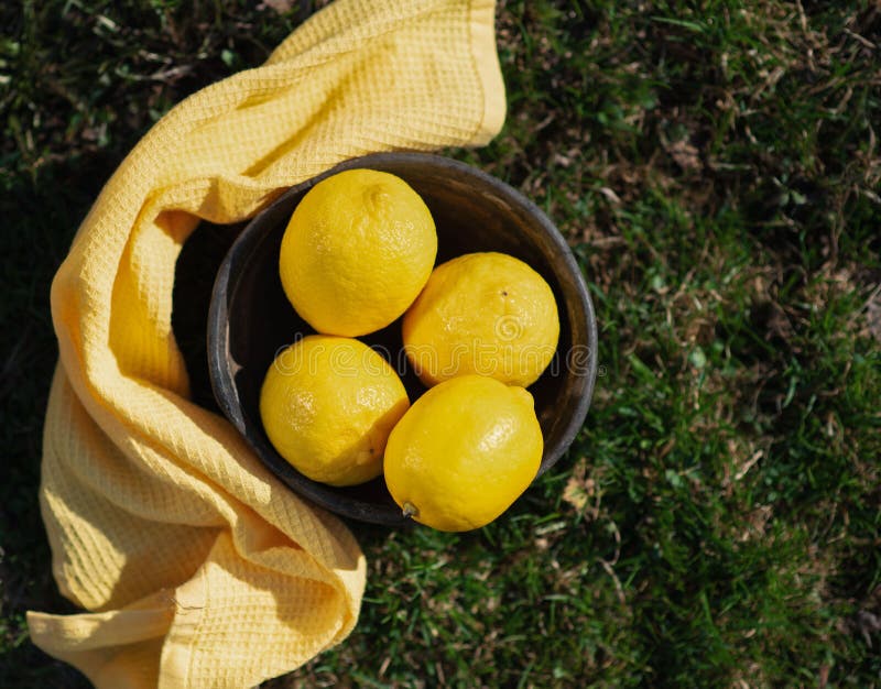 Lemons in a Bowl in the Open Air Stock Image - Image of food, nature ...