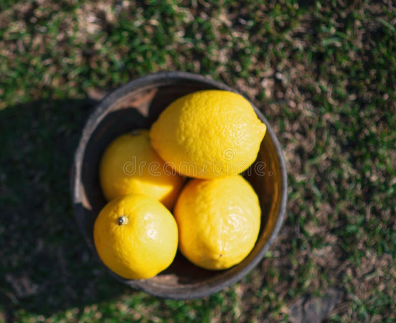 Lemons Cut Open on a Cutting Board Stock Photo - Image of fruit, lunch ...