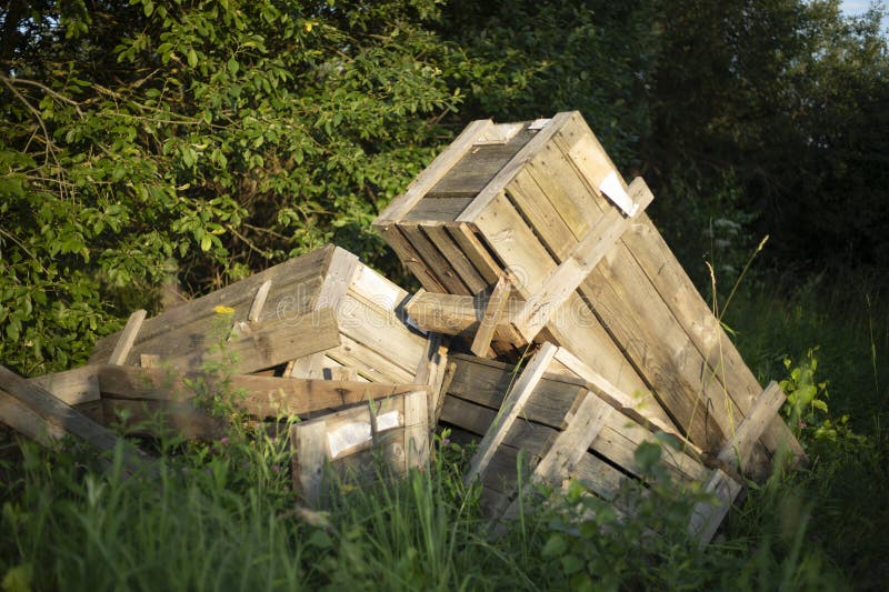 Old Boxes in the Backyard. Boxes of Boards Lying in the Grass Stock ...