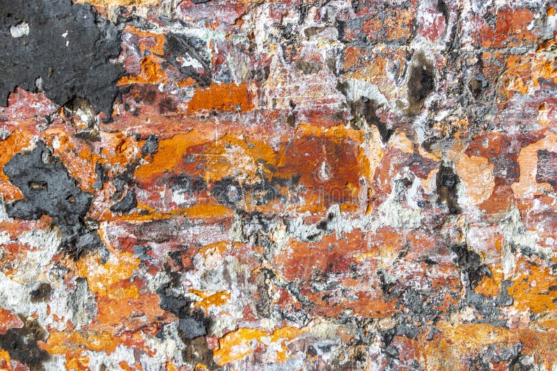 Old Brest Fortress Castle Building Wall Gate Ruins Texture Belarus ...