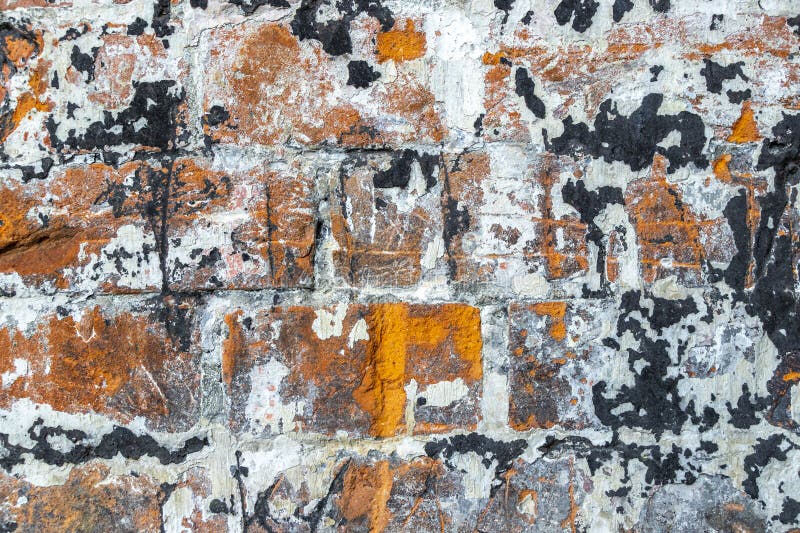 Old Brest Fortress Castle Building Wall Gate Ruins Texture Belarus ...