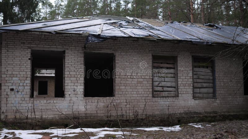 Old Brick Abandoned Building in a Spruce Forest Stock Footage - Video ...