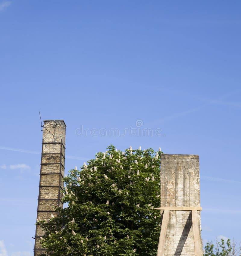 Chimney house stock photo. Image of shape, tree, concept - 223556416