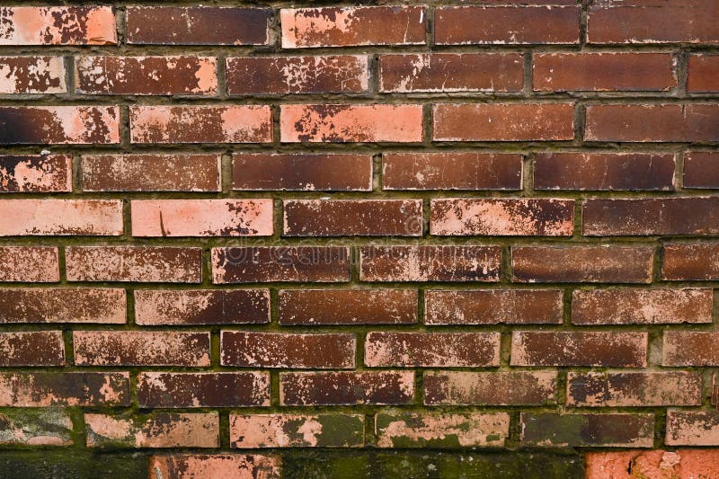 An Old Brick Faded Wall. Grunge Texture Background. Stock Photo - Image ...