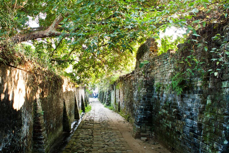 Old Brick Path between Old Walls Stock Photo - Image of leisure, vine ...