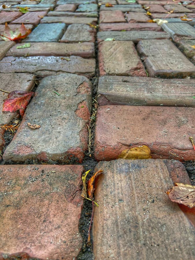 Old Brick Paver Pathway from the Ground Point of View. Stock Photo ...