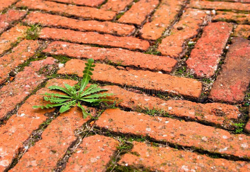 Old brick tiles stock image. Image of pedestrian, floor - 28095417