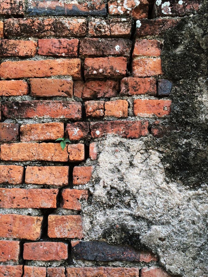 Old brick wall stock image. Image of brown, building - 38989655