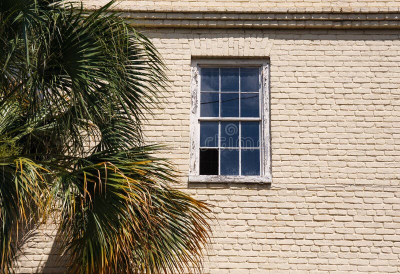 Broken Window in Old Brick Wall by Pine Tree Stock Photo - Image of ...