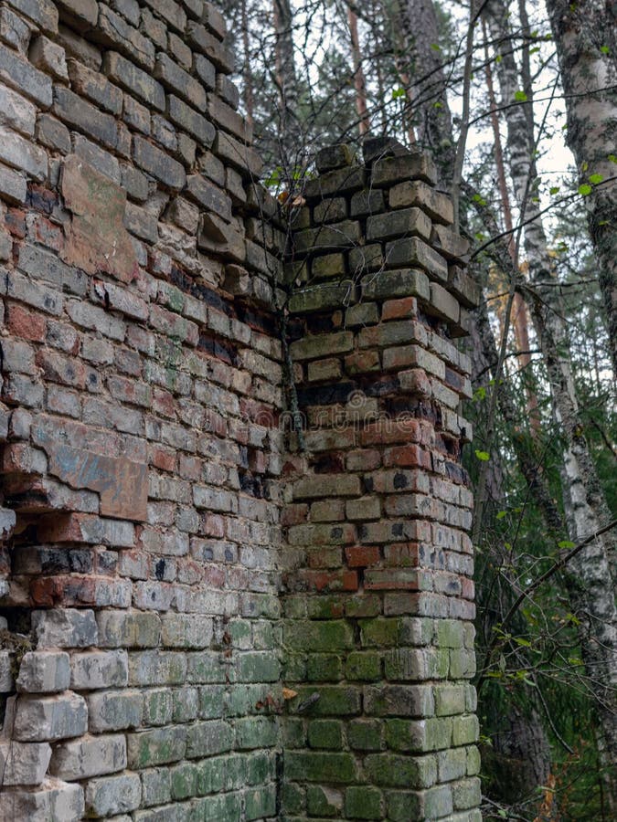 Brick Wall from a Collapsed Building in the Woods Stock Photo - Image ...