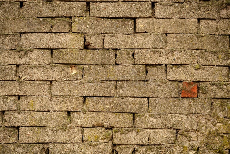 Old Brick Wall in Countryside Stock Image - Image of solid, concrete ...