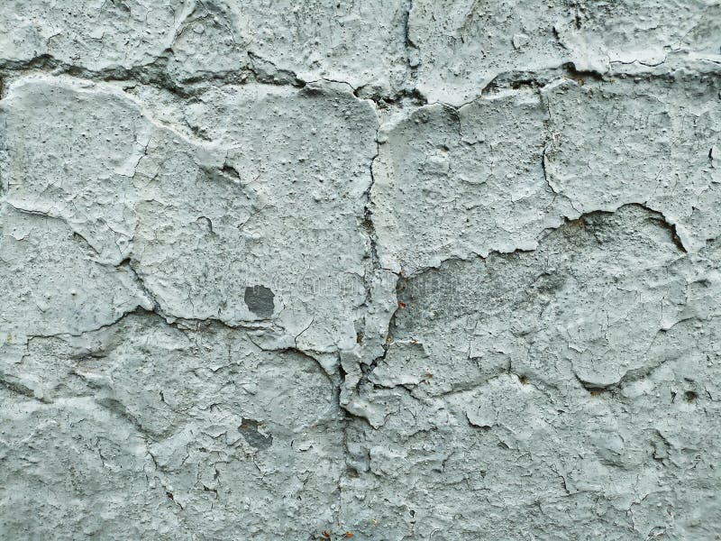 Hoto Identity Card Stock Photos - Free & Royalty-Free Stock Photos from ...