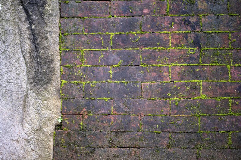 Old Brick Wall with Green Moss Stock Photo - Image of brick, exterior ...