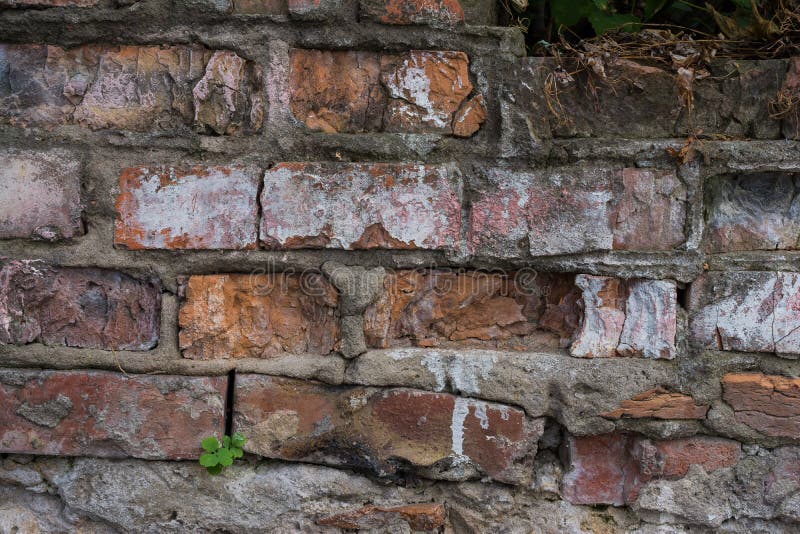 Old Brick Wall with Plaster and Decal Stock Photo - Image of wall ...