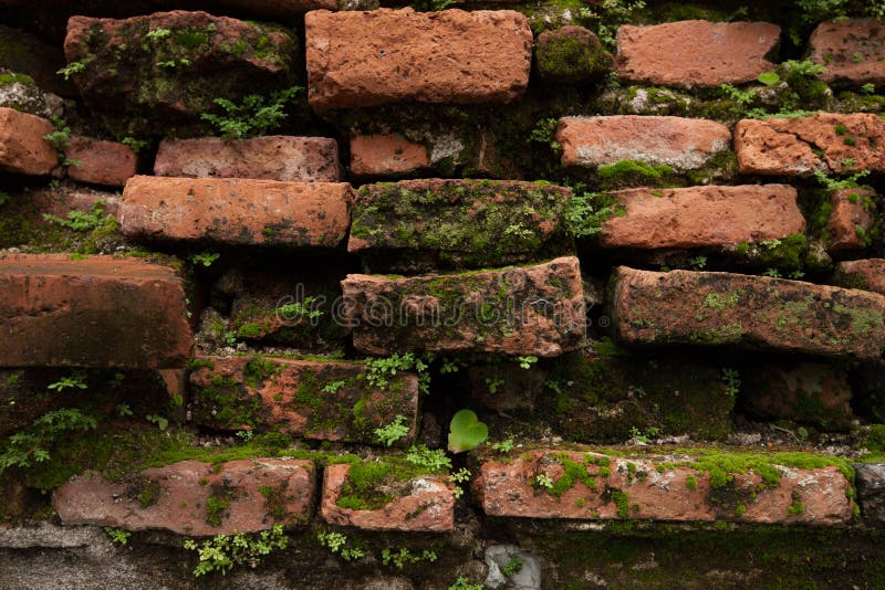 Old Brick Wall stock photo. Image of brick, protection - 31160836
