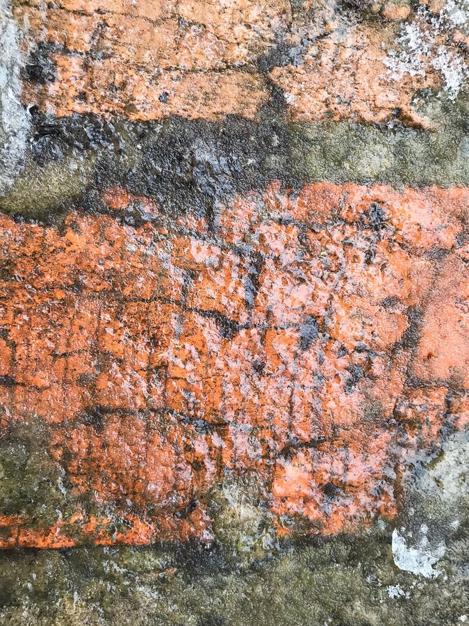 Old Brick Wall with Sharp Texture and Covered by Ice. Stock Image ...