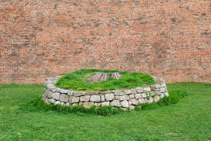 Old Brick Wall with a Stone-edged Grassy Patch Featuring a Tree Stump ...