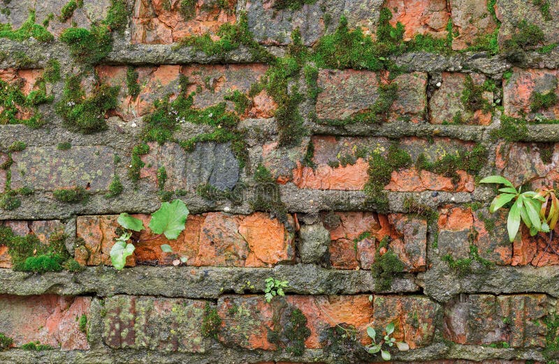 Old Brick Wall Texture.Red Distressed Wall Surface Grunge Red Stonewall ...