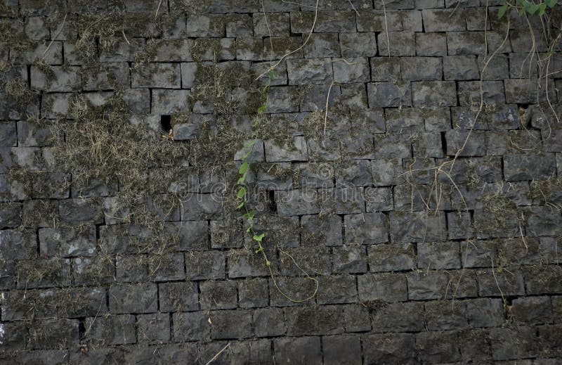 Old Brick Wall: Texture of Vintage Brickwork - Stone Brick Stock Image ...