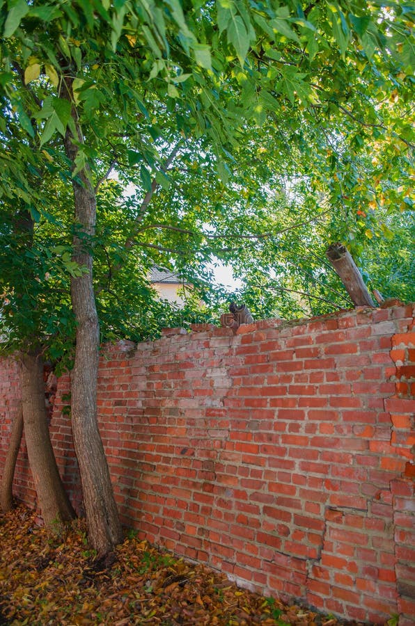 Falling Brick Wall in the Fall Stock Photo - Image of spring, nature ...