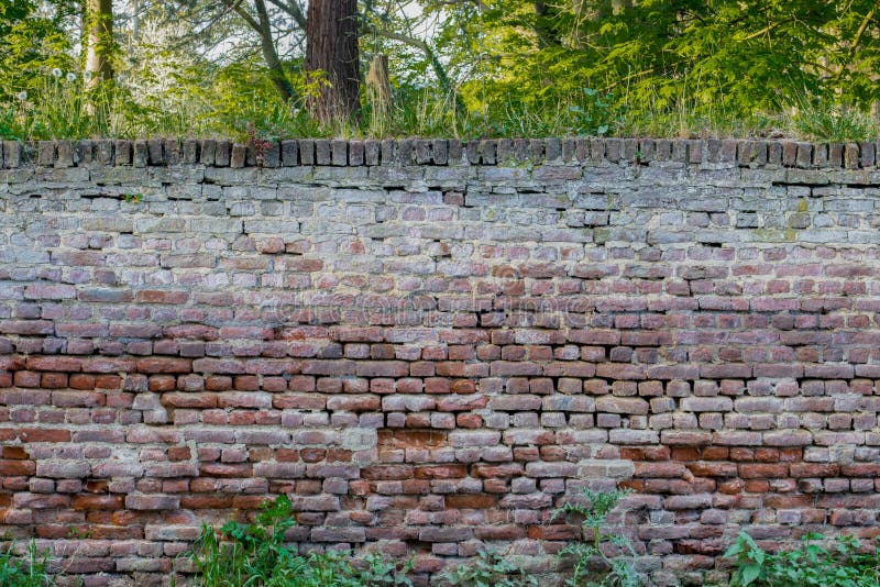 Old Brick Walls in the Forest Overgrown with Plants Stock Image - Image ...