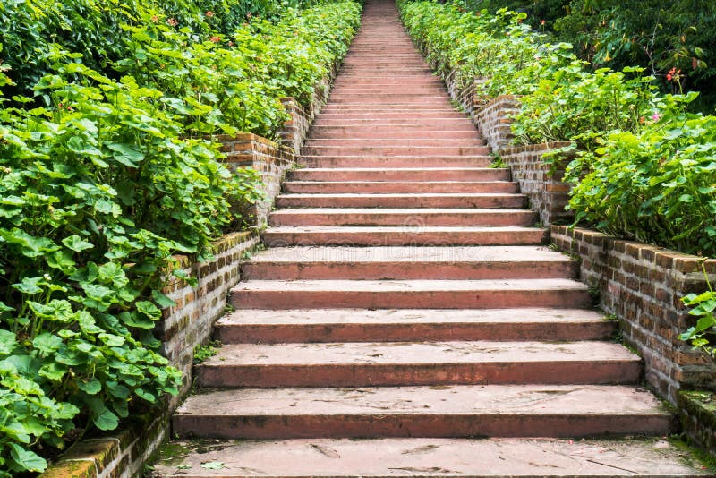 Ancient Old Bricks Staircase Slope with Tree Plants Background ...