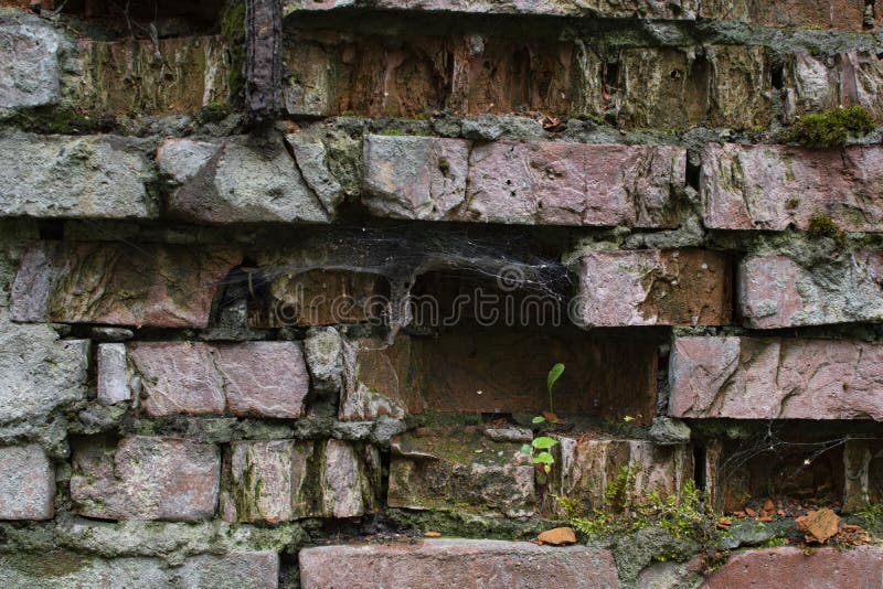 The Collapsing Wall of a Residential Building Stock Image - Image of ...