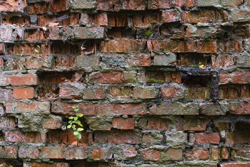 The Collapsing Wall of a Residential Building Stock Image - Image of ...