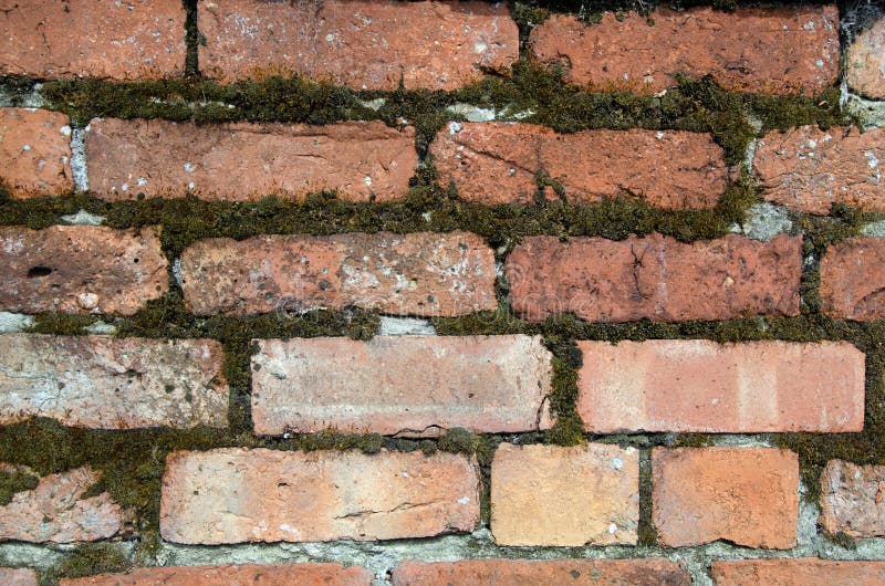 Old Brickwork with Moss in between Bricks Stock Photo - Image of rough ...