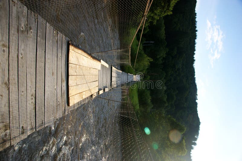 Old Suspension Walk Bridge Across River in the Forest Stock Image ...