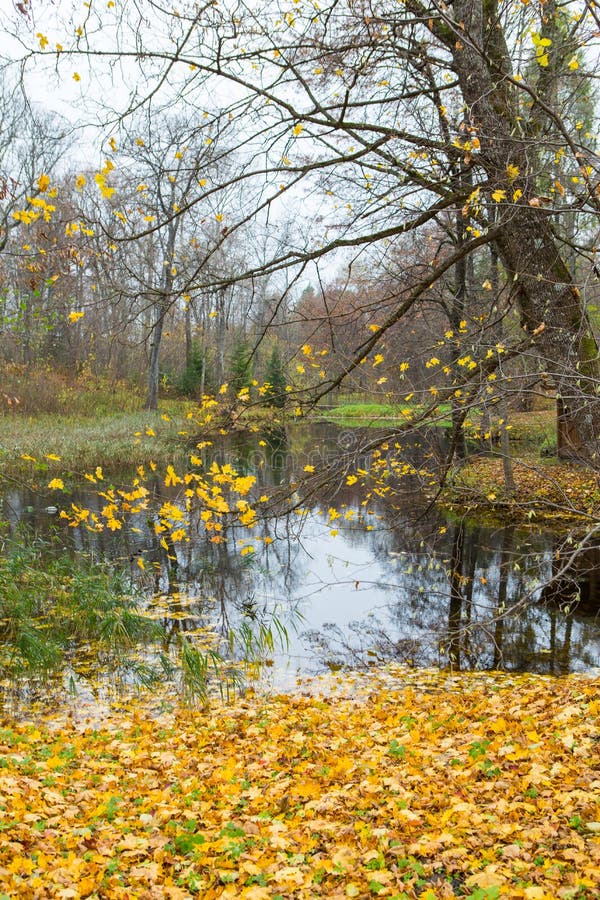 Old Bridge in Autumn Colors Stock Image - Image of outdoor, autumn ...