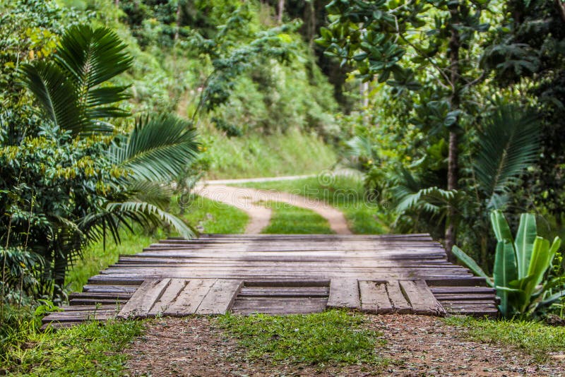Old Bridge stock photo. Image of blumenau, green, garden - 94485204