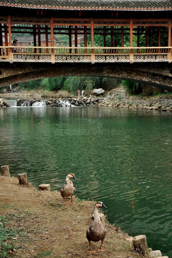 Old bridge in china stock photo. Image of architecture - 38474592