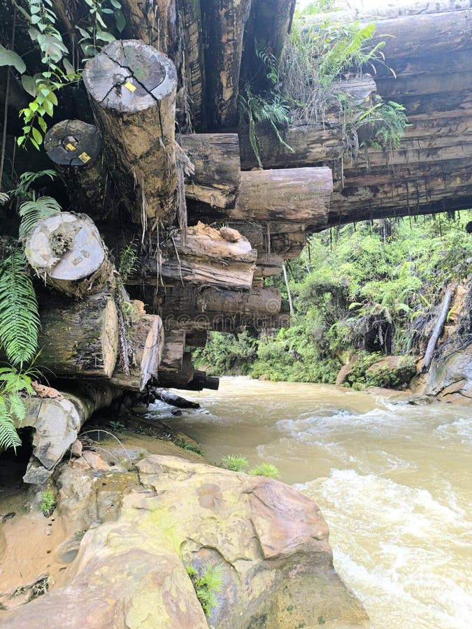 Old bridge construction stock photo. Image of wood, construction ...