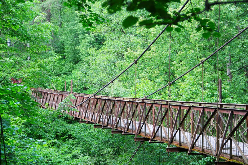 Old bridge in forest stock image. Image of park, mountain - 25474331