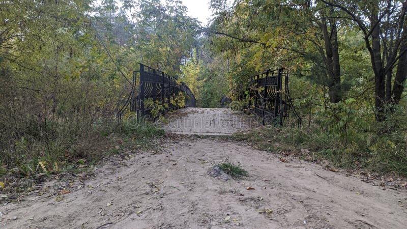 Old bridge in the forest stock photo. Image of garden - 260265982