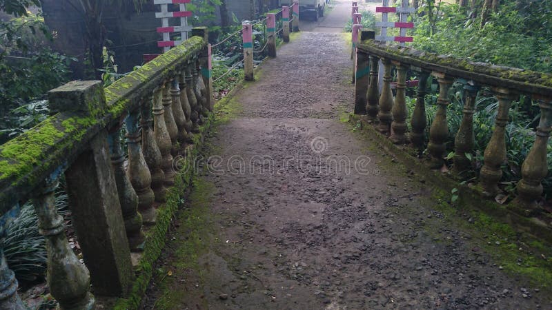 Old bridge in a forest stock photo. Image of water, forest - 140098312