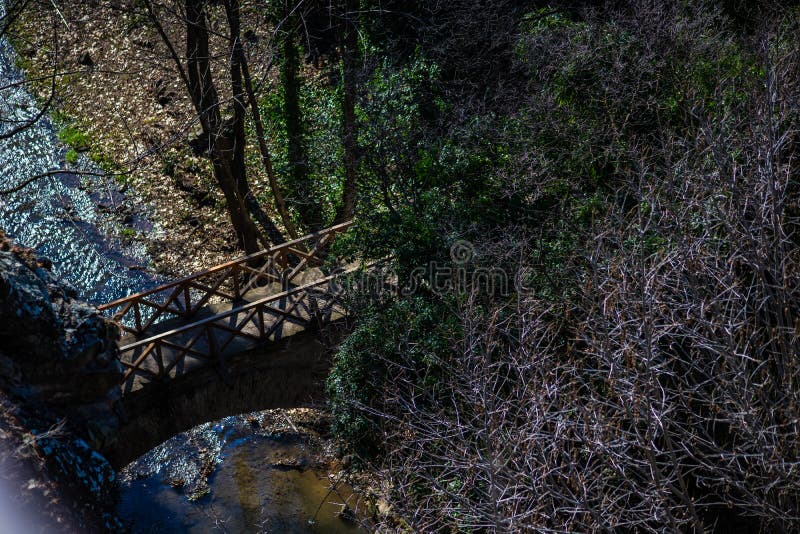 Old bridge in a forest stock photo. Image of architectural - 214246432