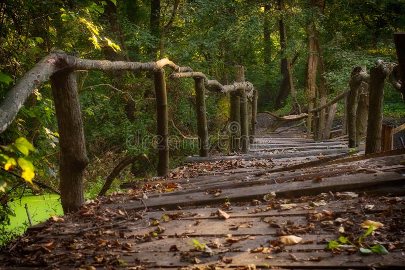 Old bridge in forest stock image. Image of river, bridgework - 77242167