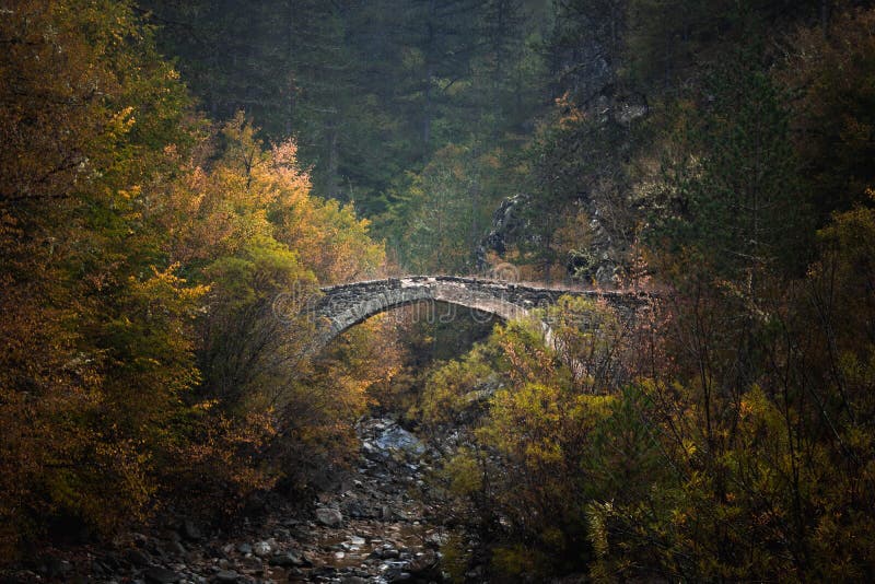 Old Bridge in the Forest Surrounded by Trees. Stock Image - Image of ...