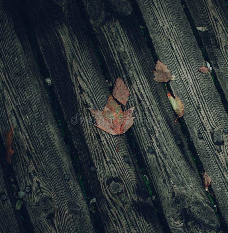 Old Bridge on the Lake Idro. Stock Image - Image of foliage, garda ...