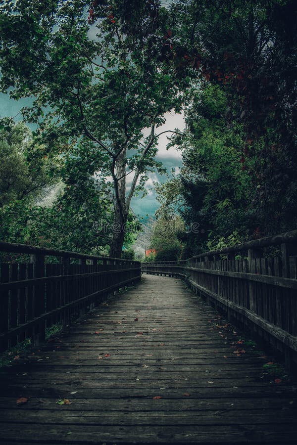 Old Bridge on the Lake Idro. Stock Photo - Image of nature, iseo: 198138478