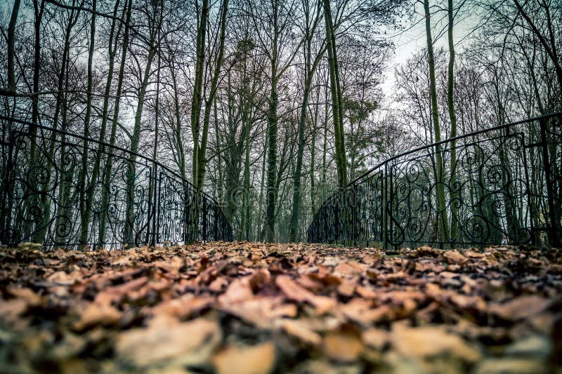 Old Bridge Leads Over Small Pond. the Whole Bridge is Covered with ...