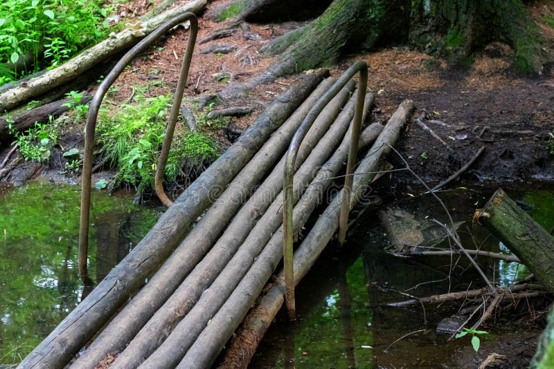 Old Bridge of Logs Over the River in the Forest Stock Image - Image of ...