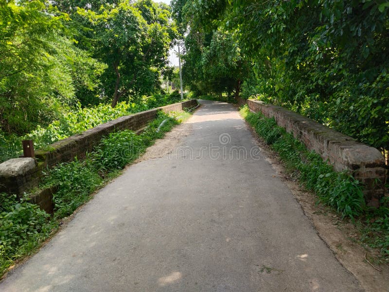 Old Bridge Made in Village of India Stock Photo - Image of green, blue ...
