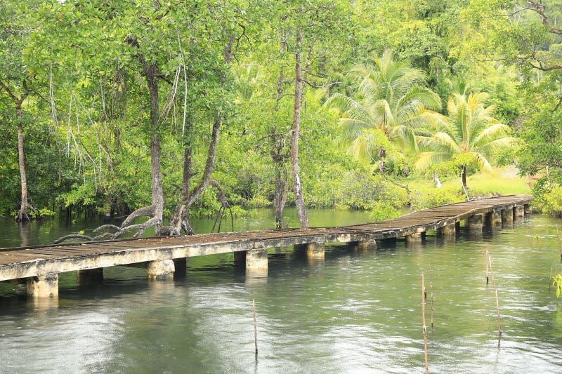 Petr Zamecnik (Thorken) - Photographer profile