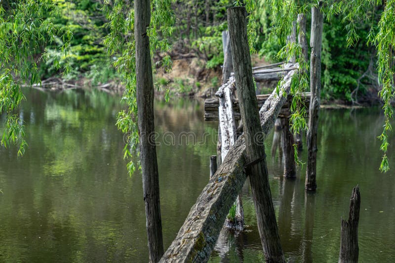 Old Bridge Over the Lake. an Old Broken Wooden Bridge Across the Lake ...