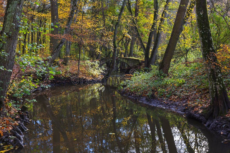 An Old Bridge Over a River Built in a Deciduous Forest. Autumn and ...
